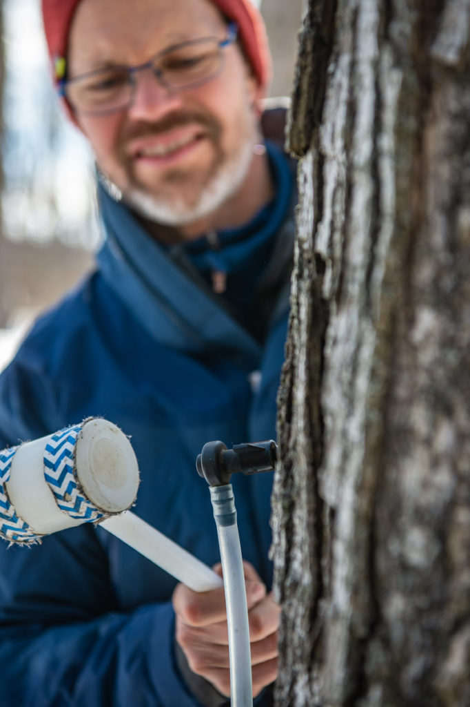 Williams Farm – See the post below for details on purchasing our products.